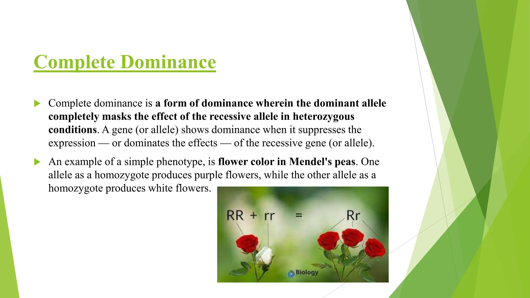 Mendelian inheritance.pptx