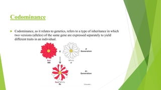 Mendelian inheritance.pptx | Gardening | Home & Garden