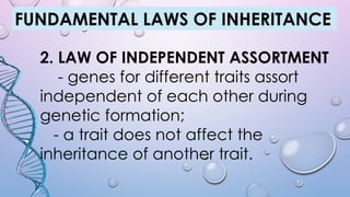 MENDELIAN INHERITANCE.Dpptx in science 9 | PPTX | Genetics | Science