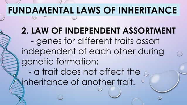 MENDELIAN INHERITANCE.Dpptx in science 9 | PPTX | Genetics | Science