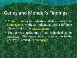 Mendelian patterns of inheritance | PPT