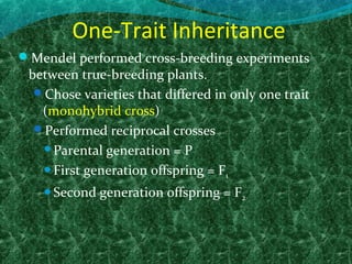 Mendelian patterns of inheritance | PPT