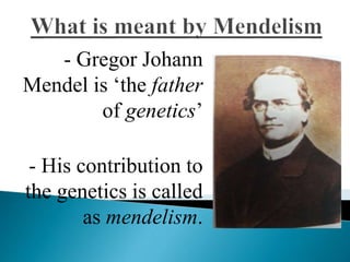 Mendelism.pptx