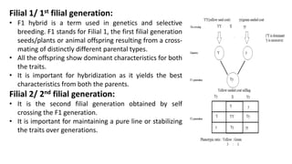 Mendelism_bsc 2nd sem.pptx | Gardening | Home & Garden