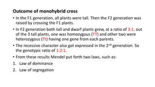 Mendelism_bsc 2nd sem.pptx | Gardening | Home & Garden
