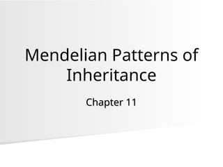 Mendel Law of Inheritance PowerPoint presentation | PPT