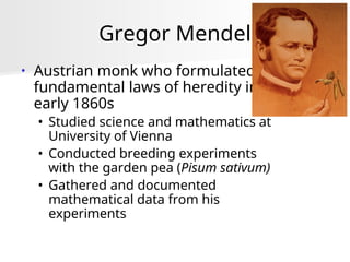 Mendel Law of Inheritance PowerPoint presentation | PPT