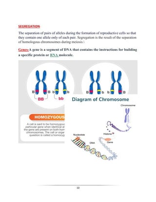 Mendel Laws of Genetics Notes Pdf | PDF