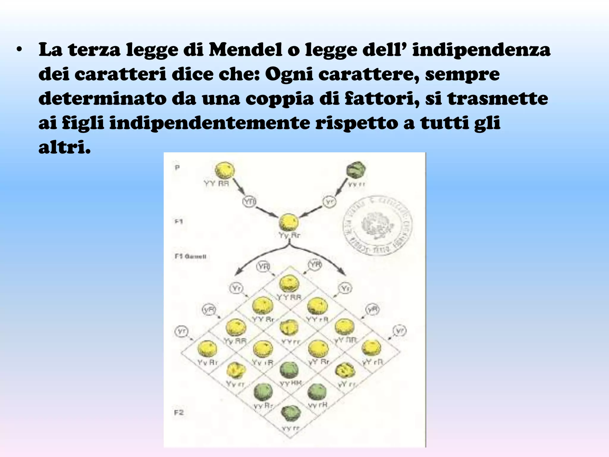 Mendel maria | PPTX