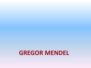 Mendel maria | PPTX