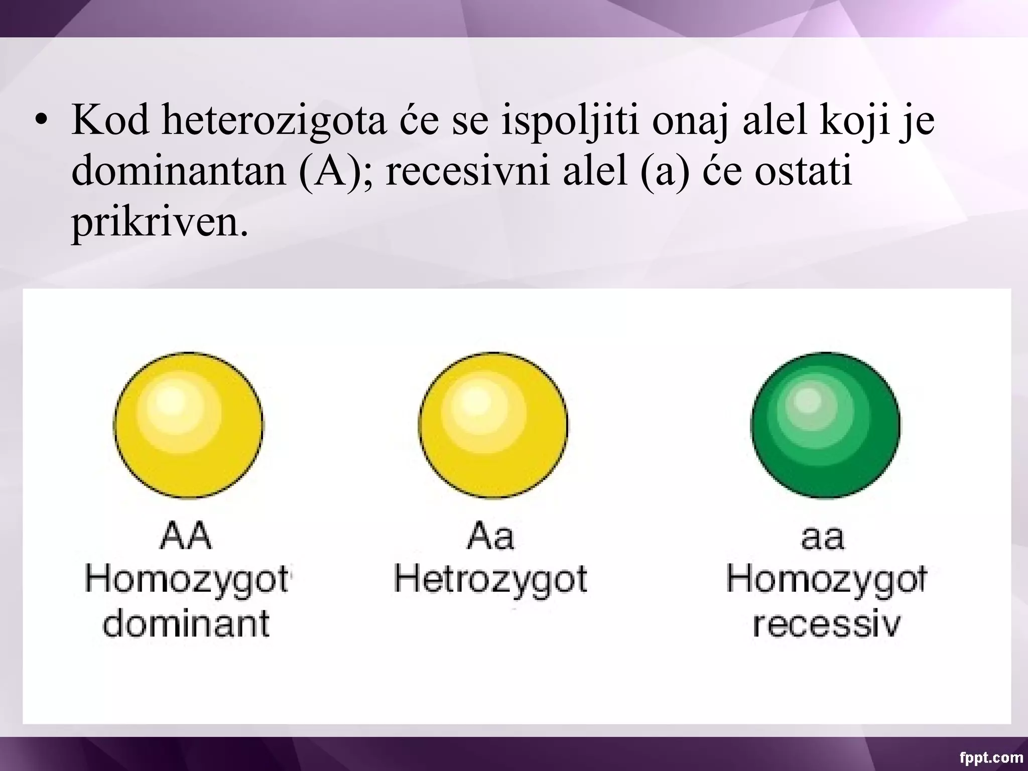 Mendelova pravila nasleđivanja | PPT