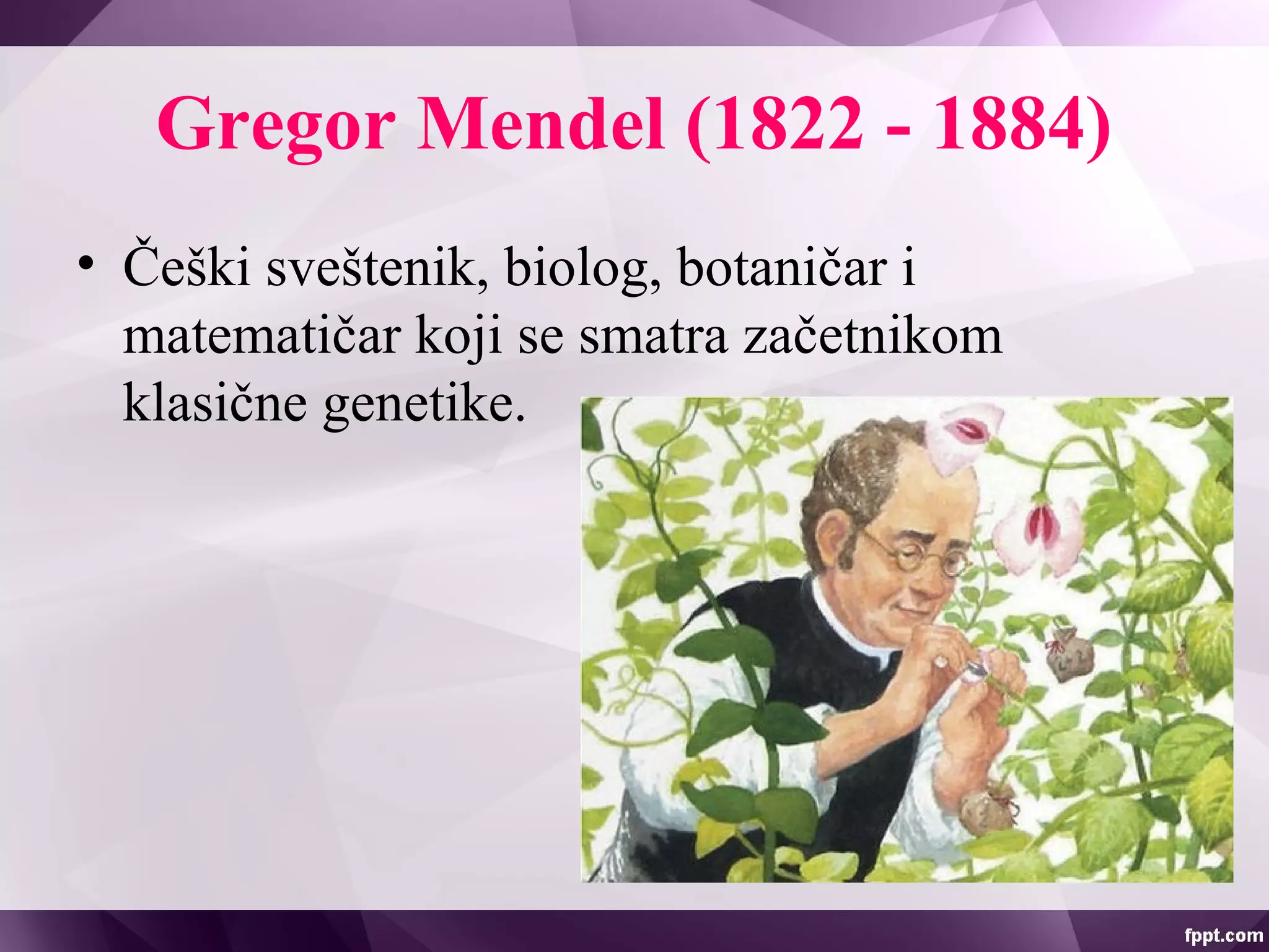 Mendelova pravila nasleđivanja | PPT