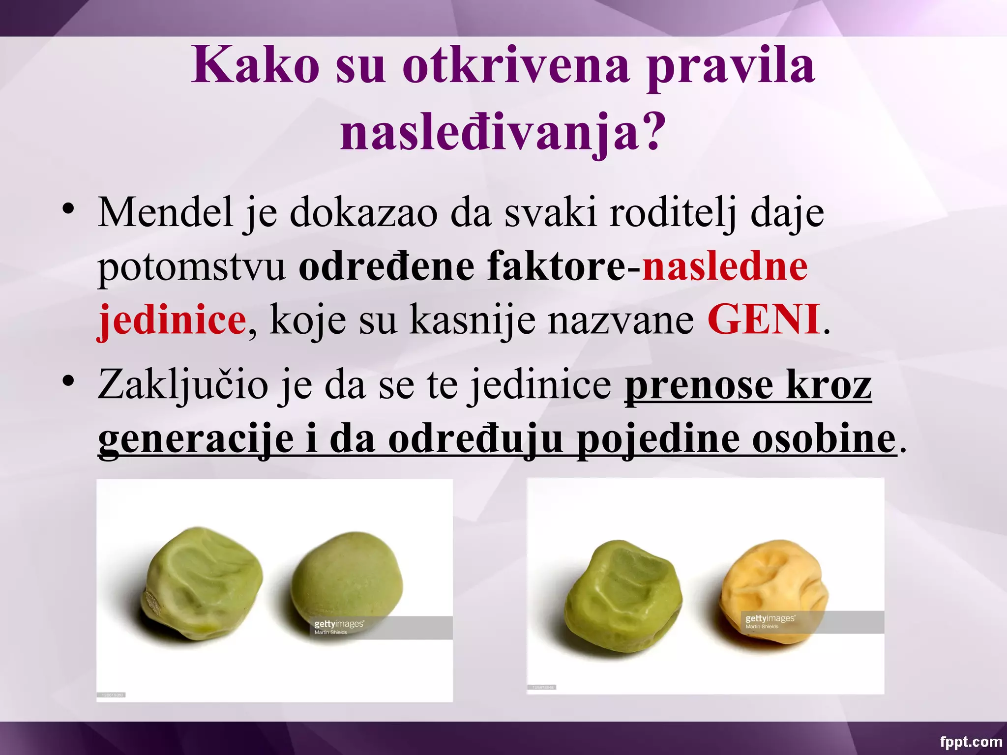 Mendelova pravila nasleđivanja | PPT