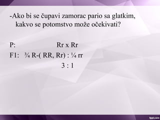 Mendelova pravila nasleđivanja | PPT