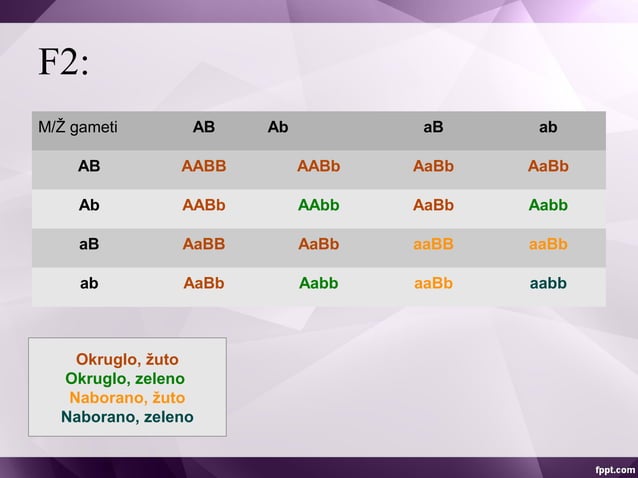 Mendelova pravila nasleđivanja | PPT