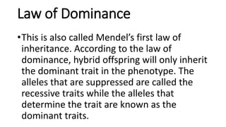 Mendels-law-of-inheritance.powerpoint presentation | PPTX