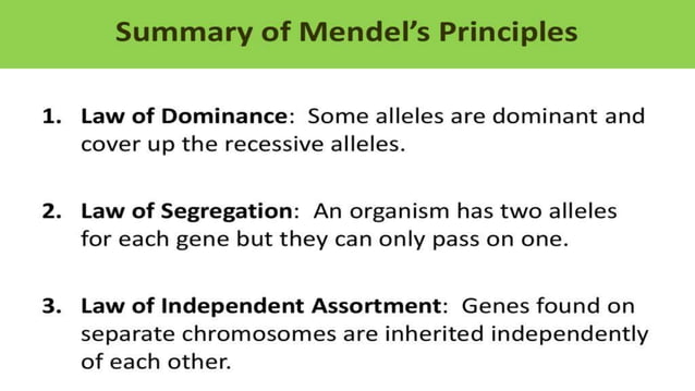 Mendels-law-of-inheritance.powerpoint presentation | PPTX | Genetics ...