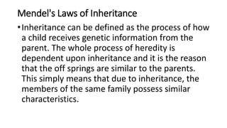 Mendels-law-of-inheritance.powerpoint presentation | PPTX
