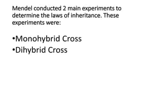 Mendels-law-of-inheritance.powerpoint presentation | PPTX