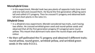 Mendels-law-of-inheritance.powerpoint presentation | PPTX