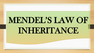 MENDELS-LAW-OF-INHERITANCE IN GENETICS.pptx