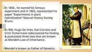 MENDELS-LAW-OF-INHERITANCE IN GENETICS.pptx