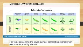 MENDELS-LAW-OF-INHERITANCE IN GENETICS.pptx