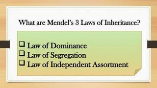 MENDELS-LAW-OF-INHERITANCE IN GENETICS.pptx