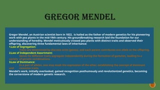 Mendels-third-law.pptx.. ............... | PPTX