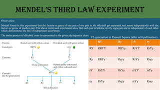 Mendels-third-law.pptx.. ............... | PPT | Free Download
