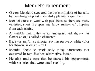 Mendel’s experiment.pptx