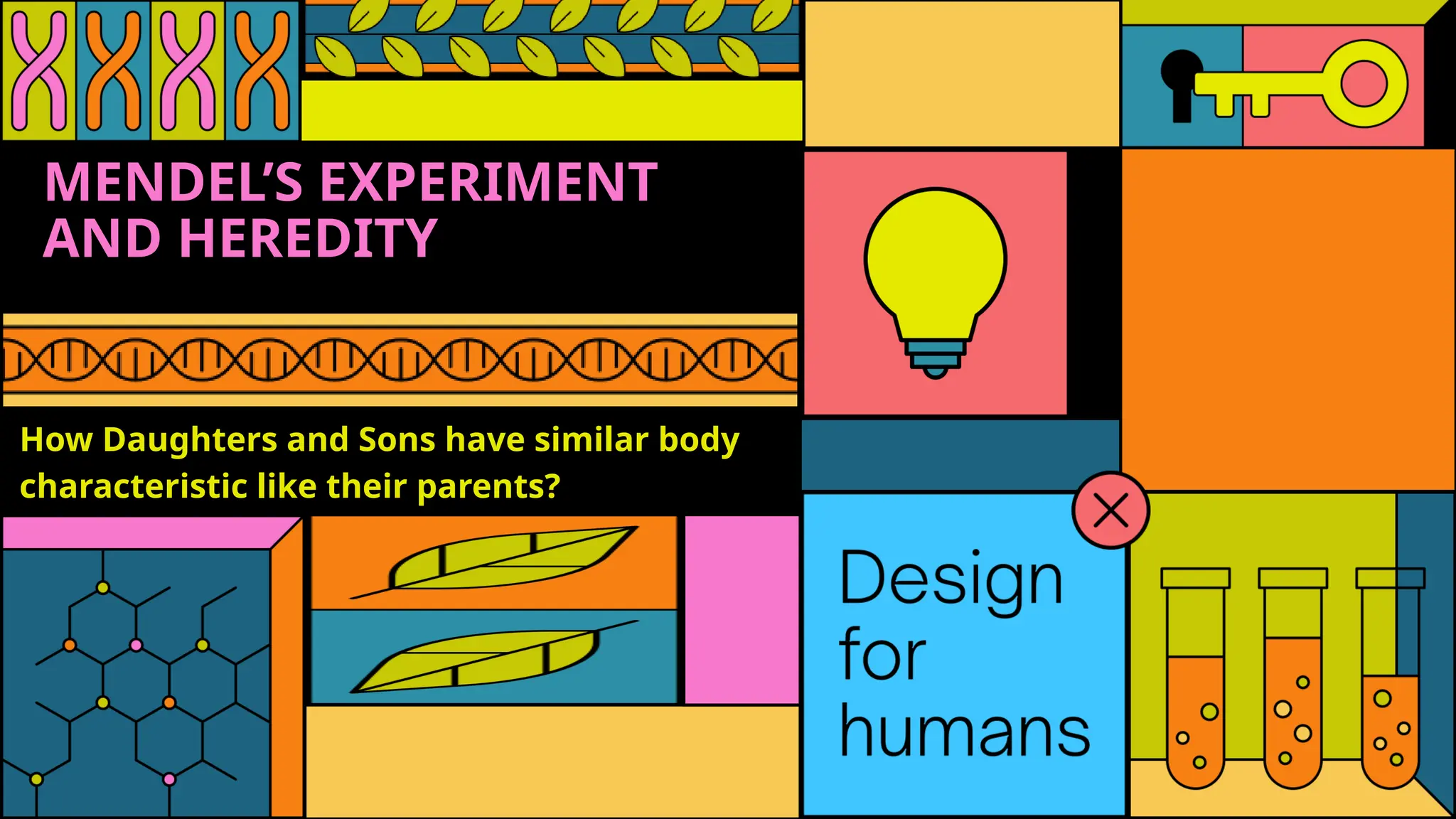 Mendel's Law - How daughters and sons have similar body characteristics ...