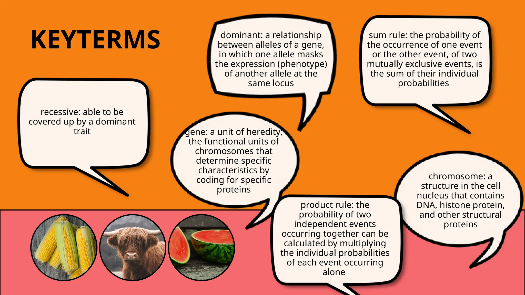 Mendel's Law - How daughters and sons have similar body characteristics ...