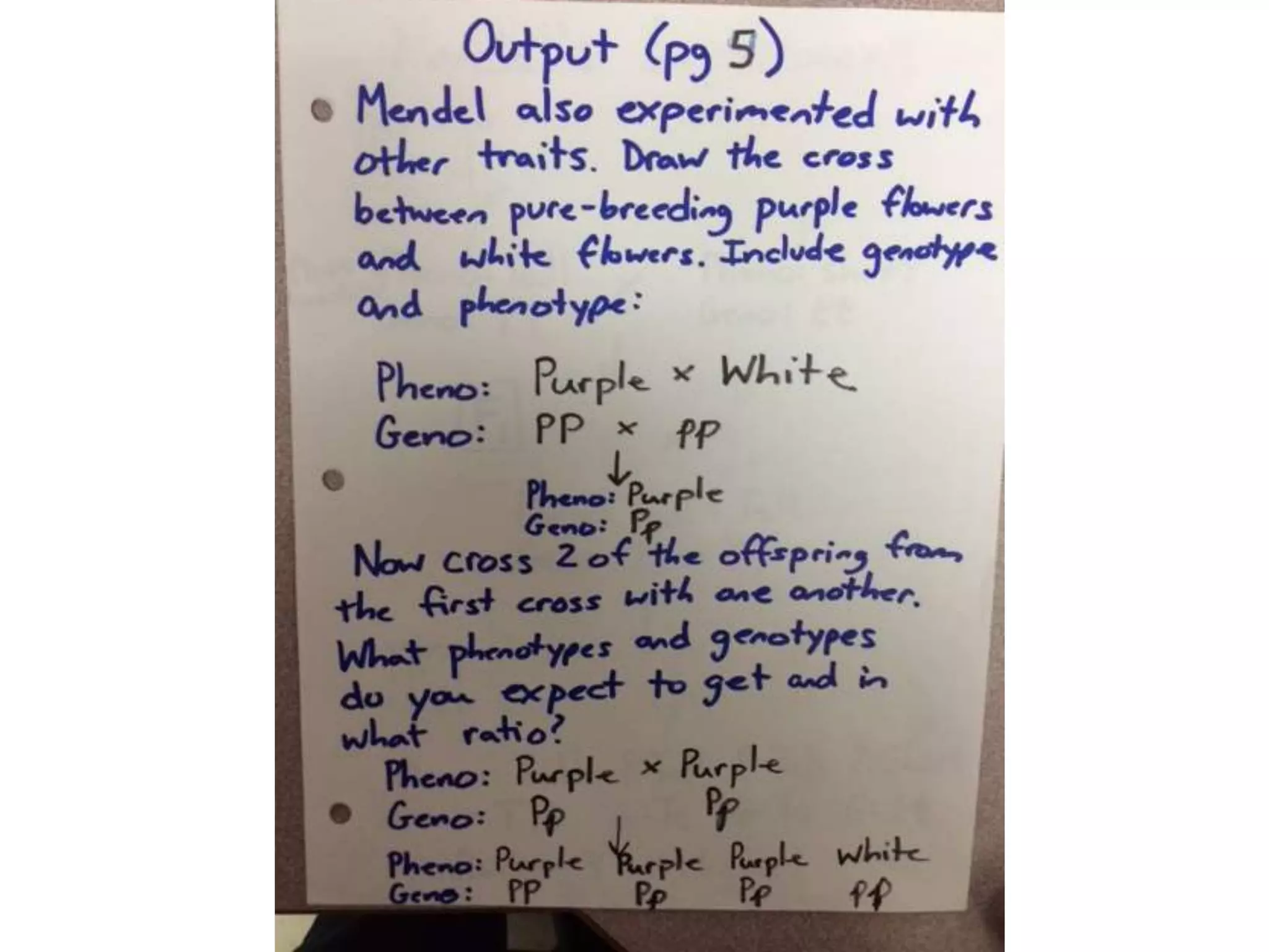 Mendels experiment hand written | PPTX