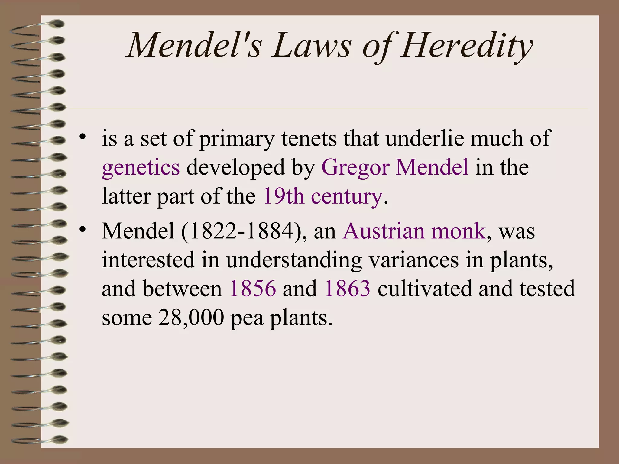 Mendels law | PPT