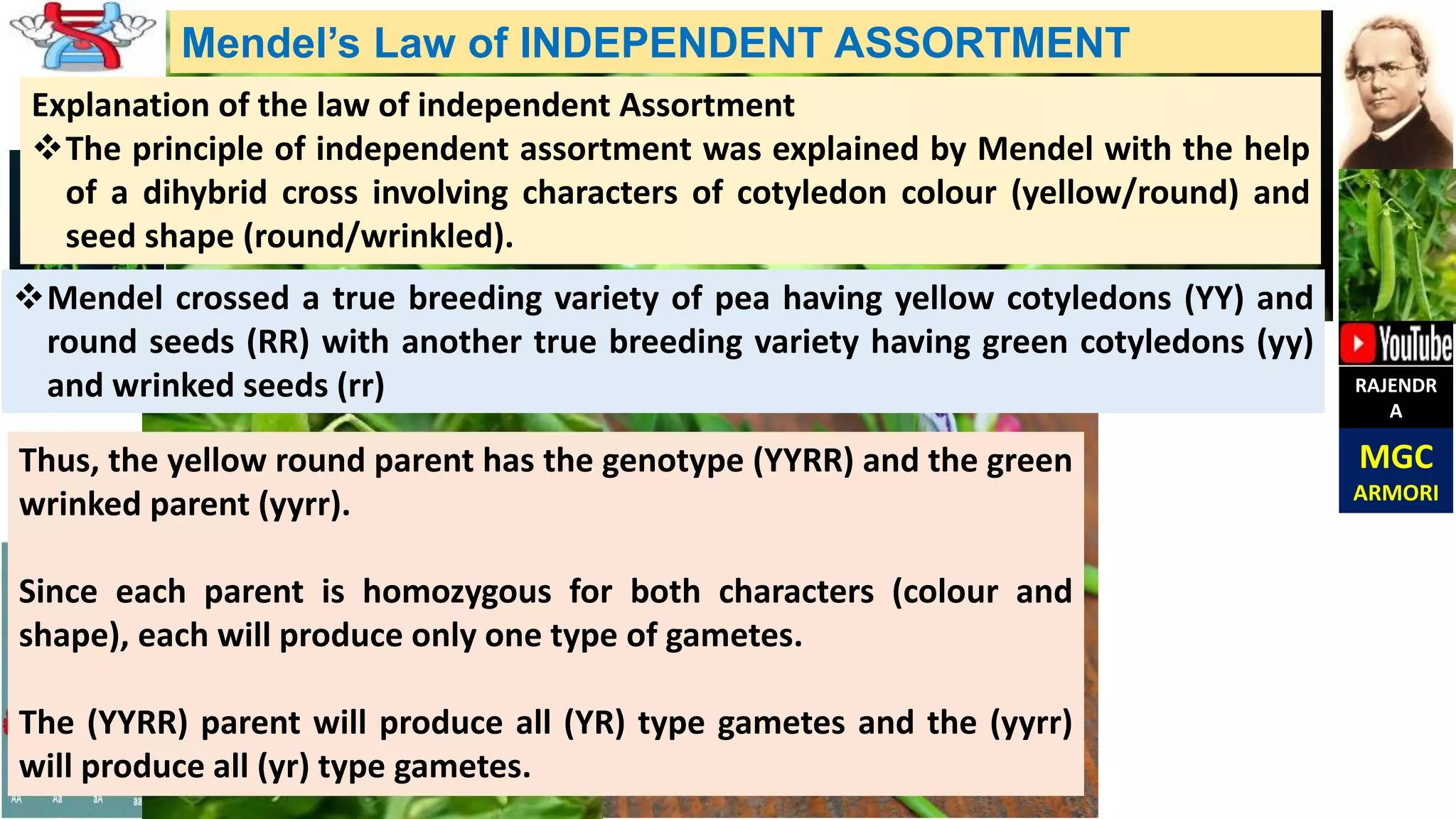 Mendel's law | PPTX