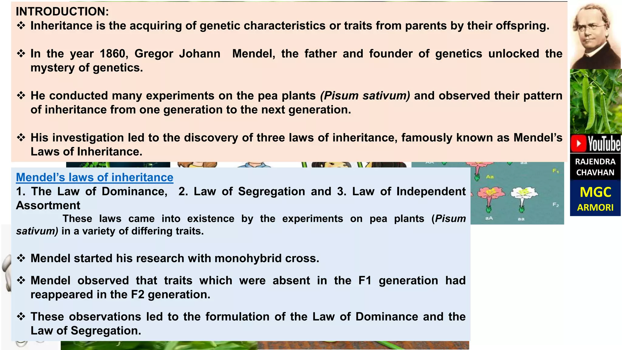 Mendel's law | PPTX