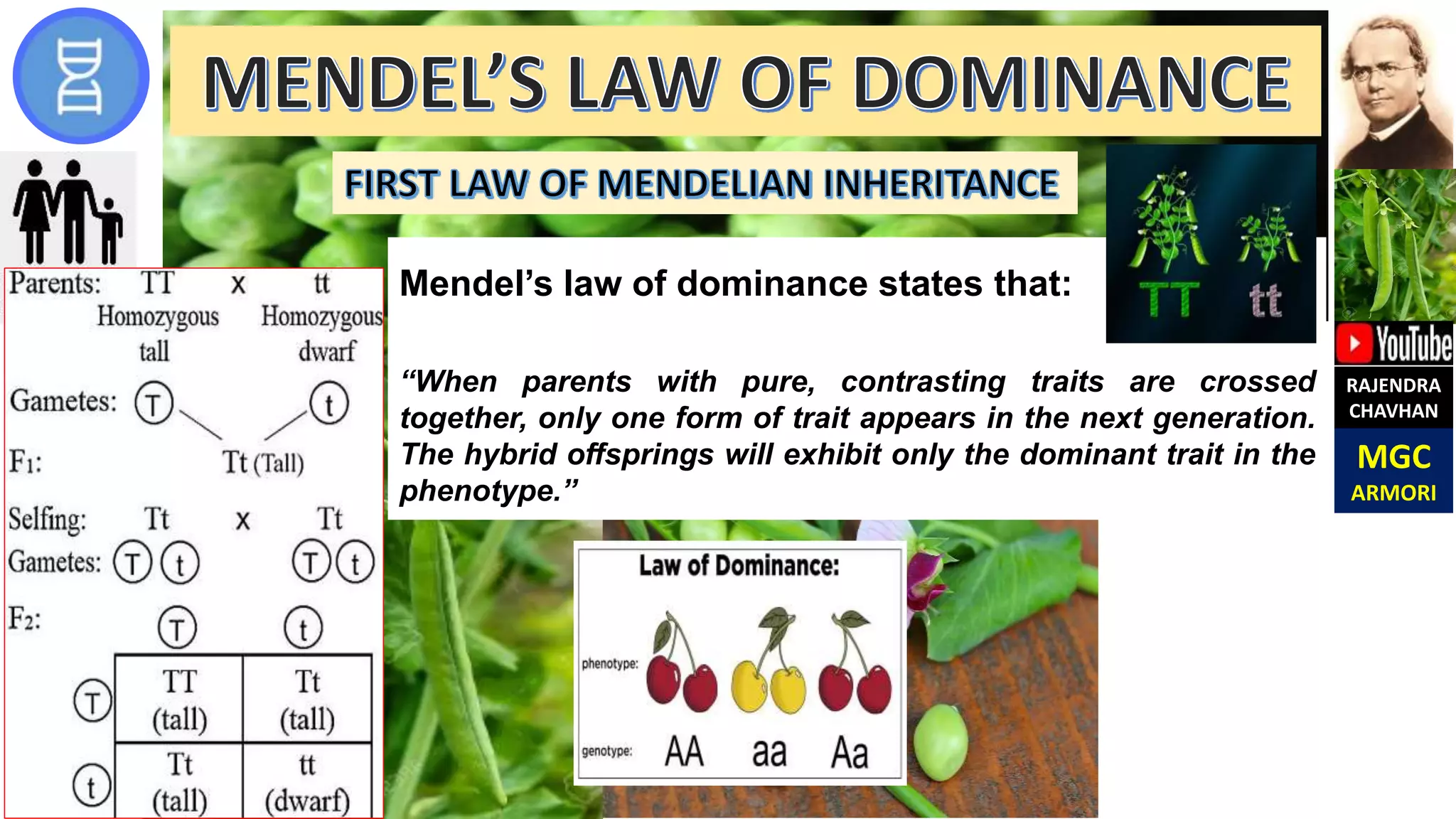 Mendel's law | PPTX