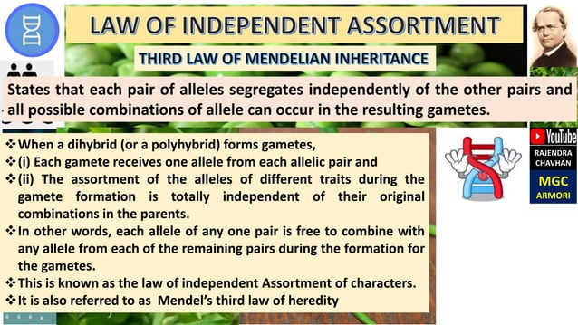 Mendel's law | PPTX | Genetics | Science