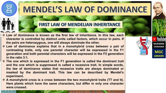 Mendel's law | PPTX | Genetics | Science
