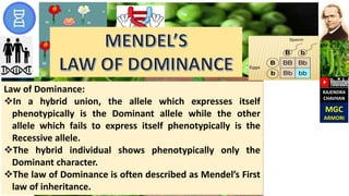Mendel's law | PPTX