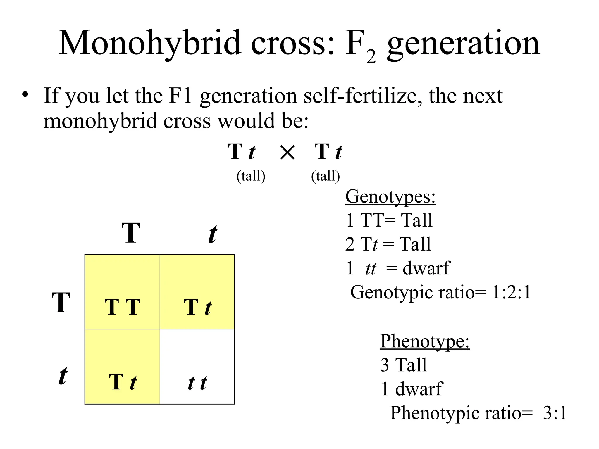 Mendels Law of Genetics, monohybrid cross, dihybrid cross | PPT