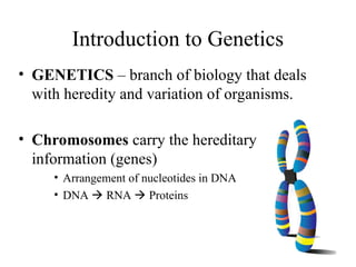 Mendels Law of Genetics, monohybrid cross, dihybrid cross | PPT
