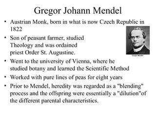 Mendels Law of Genetics, monohybrid cross, dihybrid cross | PPT