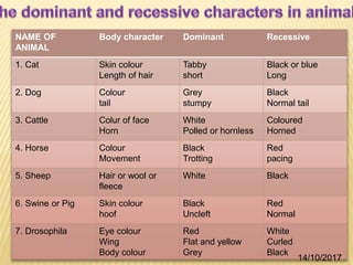 Mendel's law of genetics KAUHSAL KUMAR SAHU | PPTX