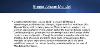 Mendel’s Law of Inheritance.pptx