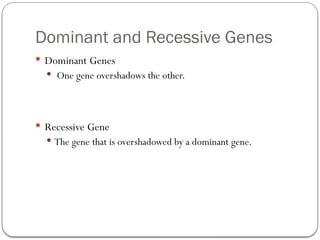 Mendel's Law of Inheritance Power Point Presentation for Senior ...
