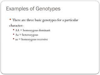 Mendel's Law of Inheritance Power Point Presentation for Senior ...