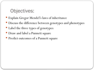 Mendel's Law of Inheritance Power Point Presentation for Senior ...