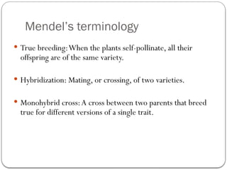 Mendel's Law of Inheritance Power Point Presentation for Senior ...